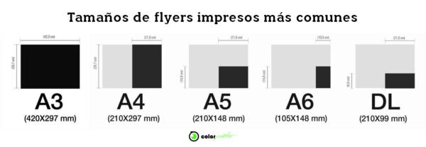 TAMAÑO DE FLYER IMPRESO | Medidas De Flyers | Colorprinter©